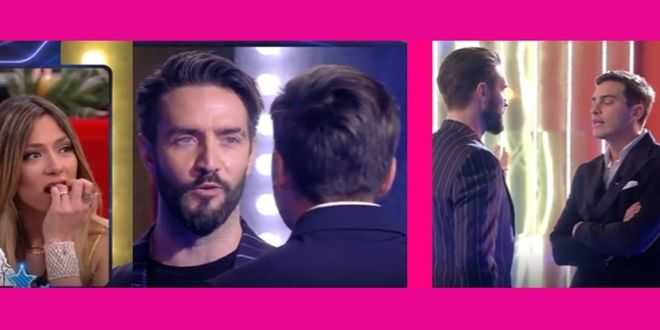 GF Vip, Alex Belli e Alessandro Basciano a un passo dal venire alle ...